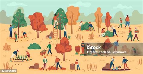 수확 시즌 과일 채소 열매를 수집하는 농장의 농부들 스태킹 건초 농업 가을 작업 벡터 배경 따기에 대한 스톡 벡터 아트 및 기타 이미지 Istock