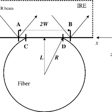 Modeled Geometry Of A Cylindrical Sample Such As An Optical Fiber