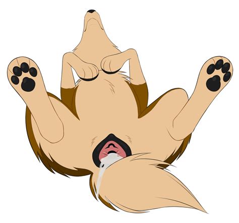 Rule 34 2020 4 Toes After Sex Animal Genitalia Animal Pussy Bodily