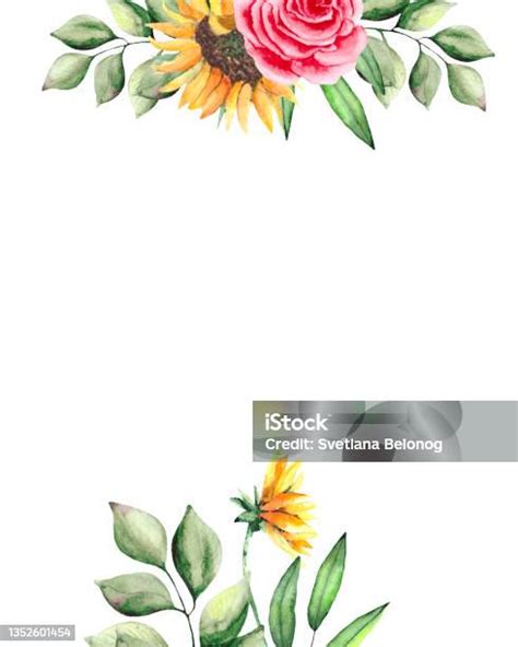 흰색 배경에 녹색 잎 장미 노란 해바라기가 있는 수채화 프레임과 텍스트 공간이 있습니다 엽서 포스터 인사말의 디자인을 위해 0