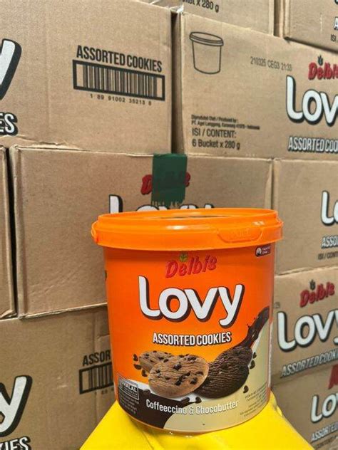 Lovy Delbis Chocochip Timba 210gr Exp 22025 Lazada Indonesia