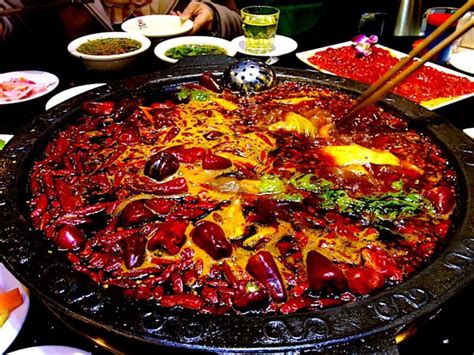 The Hirshon Sichuan Spicy Hotpot 麻辣火鍋 The Food Dictator