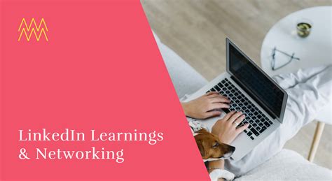 Linkedin Learnings And Networking