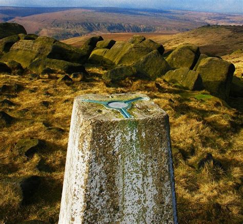 What Are Plasmoids Ownmeta News