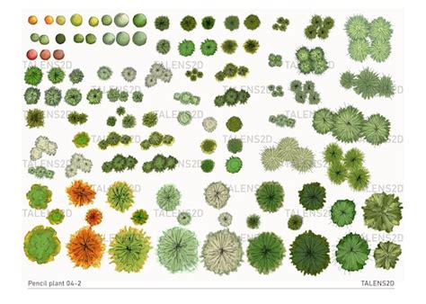 tree plan 2d