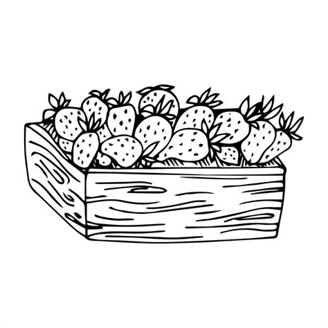 Dibujos Animados De Fresa En Blanco Y Negro Ilustración De Aislados