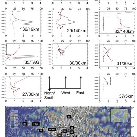 Vertically Integrated Tracer Concentrations From An Idealized Tracer