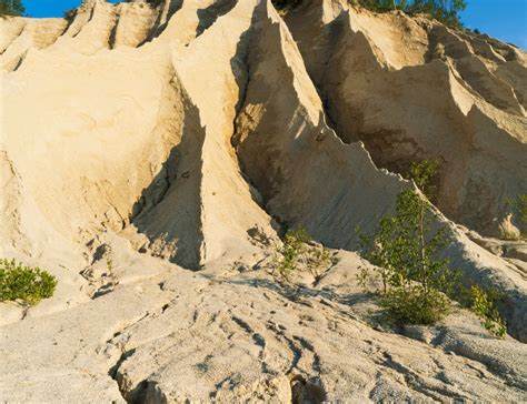 Sexual Dimorphism What Is And Examples Evidence Network