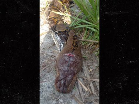 Mob Carries Out Revenge After A 16 Foot Python Crushed Grandmother To Death