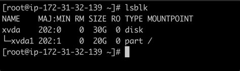 Java Qui Nhon How To Resize EBS Volumes On AWS