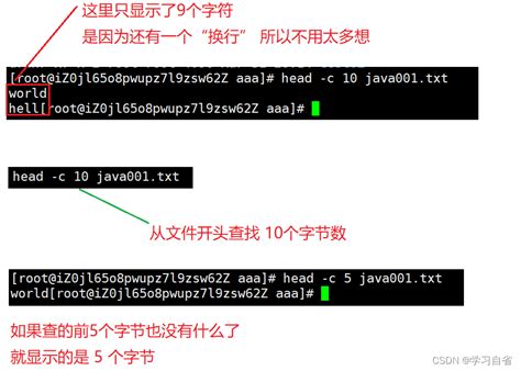 linux基础操作命令详解：vim、head、tail等实用工具 csdn博客