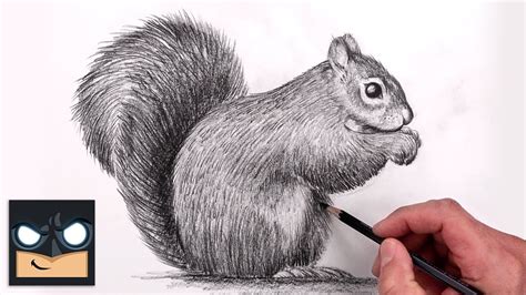 How To Draw A Realistic Squirrel