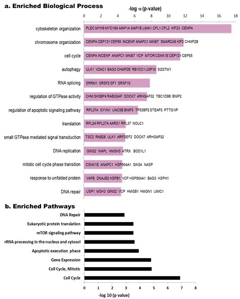 Proteomics And Phospho Proteomics Profiling Of The Co Formulation Of