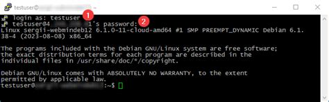 usage guidelines debian 12 minimal with webmin server virtual pulse