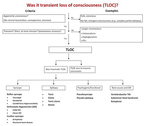 Initial Evaluation Syncopedia