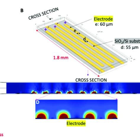 Dep Chip A Fabrication Process Of The Gold Electrode Array B Download Scientific Diagram