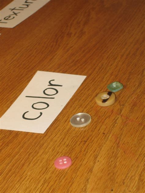 Concept Sorting With Buttons This Reading Mama