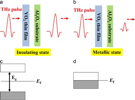 Schematic Of The Thz Transmission Through The Vo 2 Al 2 O 3 Film In Download Scientific