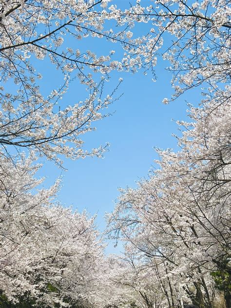 Mr Looking For Some Sun And Fun 🌞🏕️ Camp Out Or If Youre Like Me