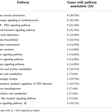 Detailed Information Of Significantly Enriched Kegg Pathways Of The