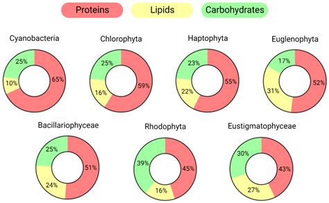 Fermentation Of Microalgal Biomass For Innovative Food Production