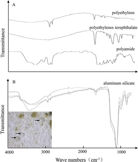 Identification Of Microplastics With Micro Fourier Transformed Infrared