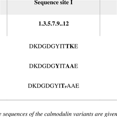 Sequences Of The Calmodulin At Sites I And Ii A Download Scientific Diagram