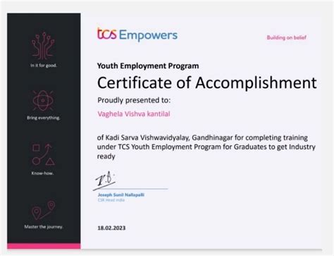 Vishva Vaghela On Linkedin Completed Training Under Tcs Youth