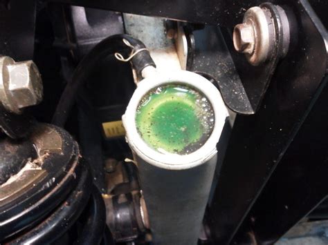 What Does Coolant In Oil Look Like
