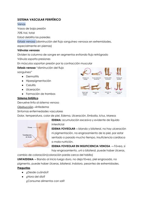 SOLUTION: Sistema vascular perif rico 1 - Studypool