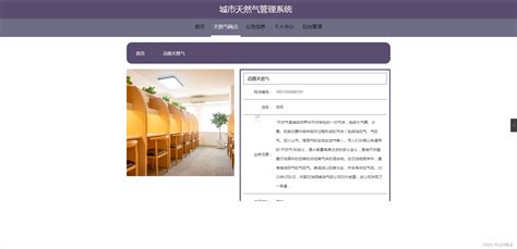 Springboot毕设项目城市天然气管理系统 P355v（javavuemybatismavenmysql）天然气管理系统vue