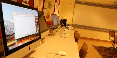 Harp Definition Psychology At Joan Cross Blog