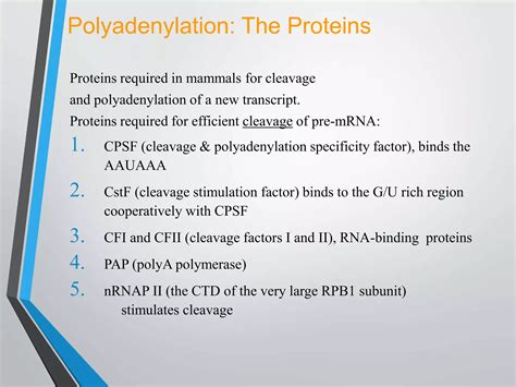 RNA PROCESSING PPTX Chemistry Science