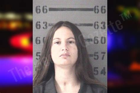 Peyton Lansaw — Dougherty County Jail Bookings