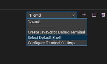 I Can T Run Nodemon From Integrated Terminal Of Visual Studio Code Mac OS Stack Overflow