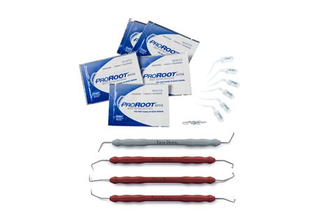 Proroot Mta Root Repair Delivery System Shop Online Dentsply Sirona Usa