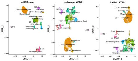 Results Of Label Transfer From Reference Populations The Umap Plot On Download Scientific