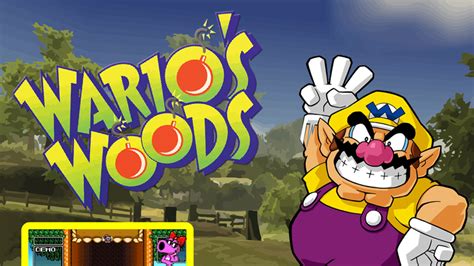 Warios Woods El Consolas