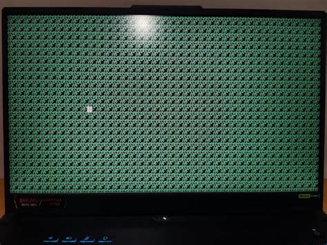 Glitched Out Screen Asus Tuf A17 2023 Rasus