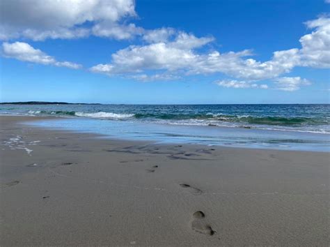 Uncle Li Restaurant Added A New Uncle Li Restaurant