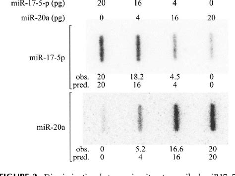 Figure 3 From A Microrna Detection System Based On Padlock Probes And Rolling Circle