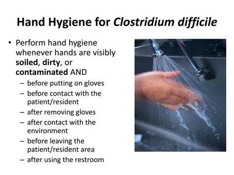 Ppt C Difficile And Hand Hygiene For Healthcare Settings Powerpoint Presentation Id 1621659