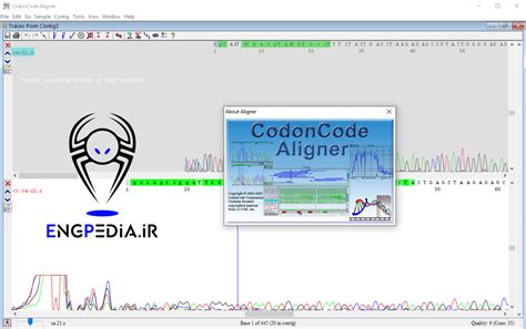 نرم افزار codoncode aligner 2024 تحلیل توالی‌های ژنتیکی dna و rna