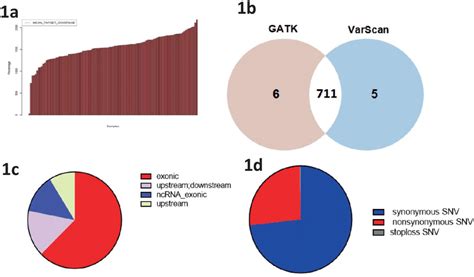 The Results Of Whole Mitochondrial Genome Sequencing A The Average