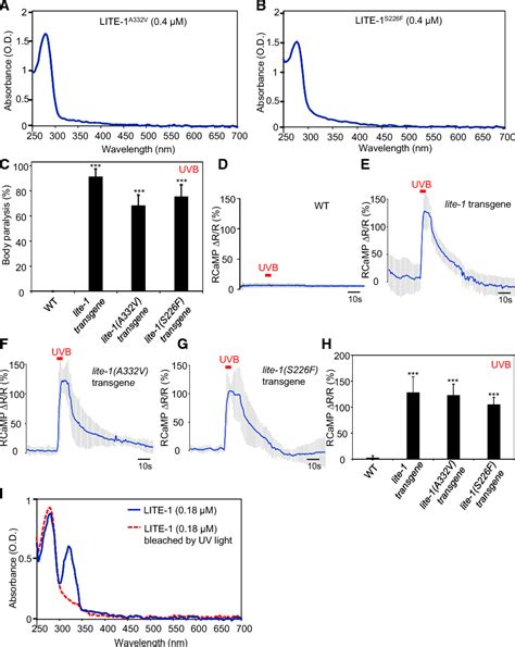 Figure 5 From The C Elegans Taste Receptor Homolog Lite 1 Is A
