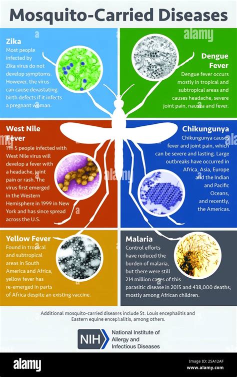 Niaid Conducts And Supports Research On Mosquito Carried Diseases