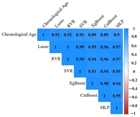 Comparison Of Machine Learning Models For Brain Age Prediction Using Six Imaging Modalities On