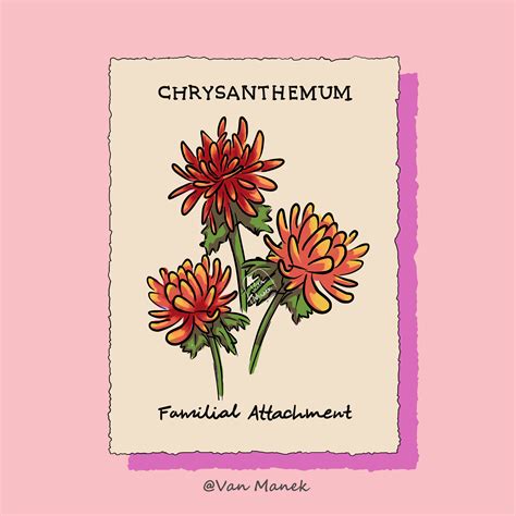 Enola Holmes Movie Chrysanthemum Flower