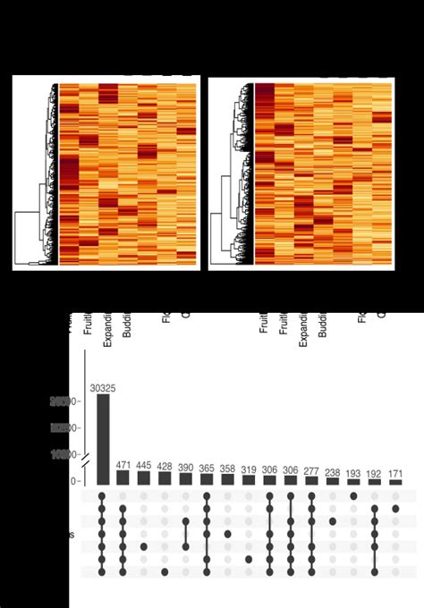 gene expression characterization heatmaps and upset plot of gene