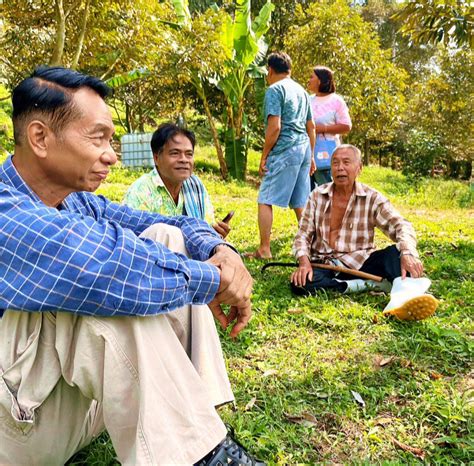ศิริฟ้าใหม่การเกษตร ทุเรียนคุณภาพ ทุเรียนยุคใหม่ ทุเรียนพารวย แต่งดอกทุเรียน การดูแลสวน